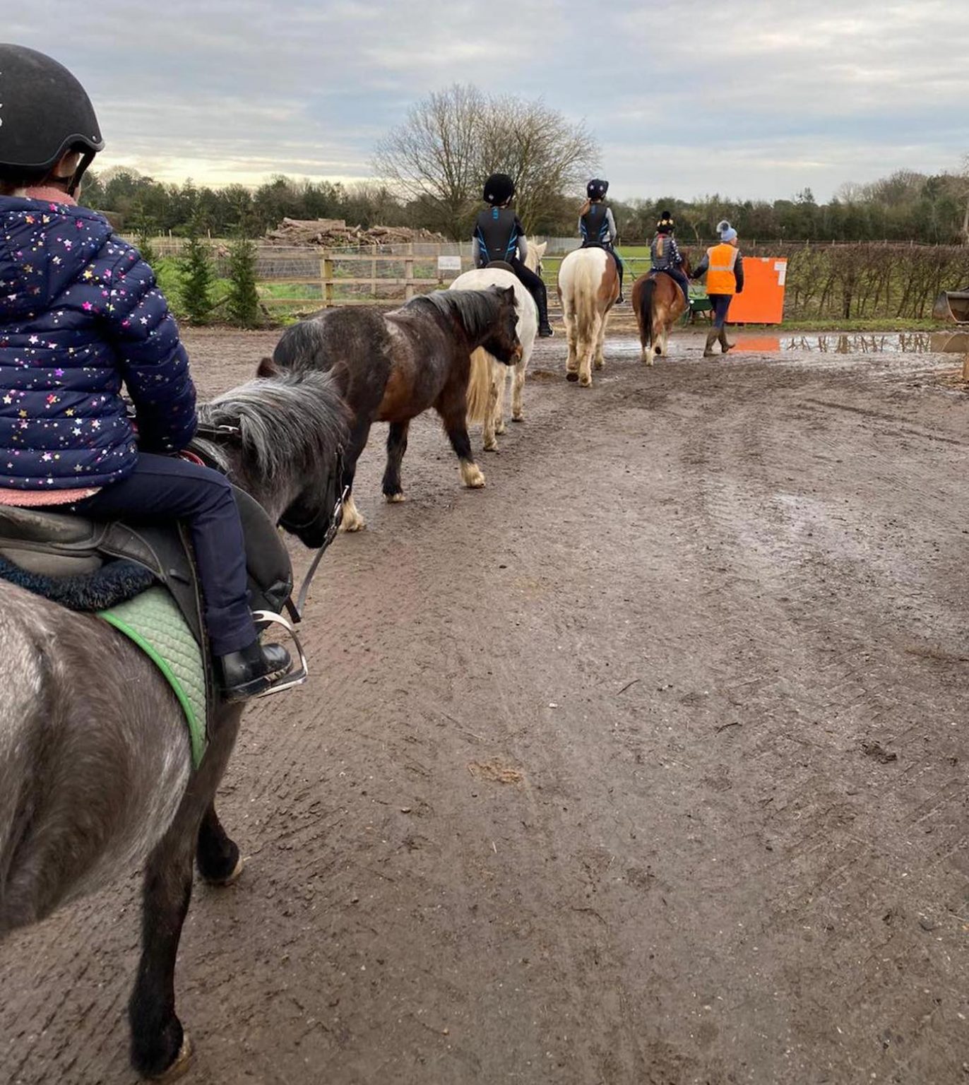 ‘Free-range’ riding school pony goes above and beyond by taking himself ...