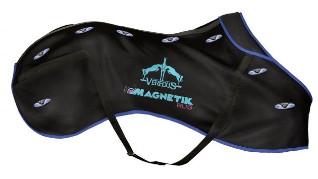 Best magnetic rugs for horses and more | Horse & Hound