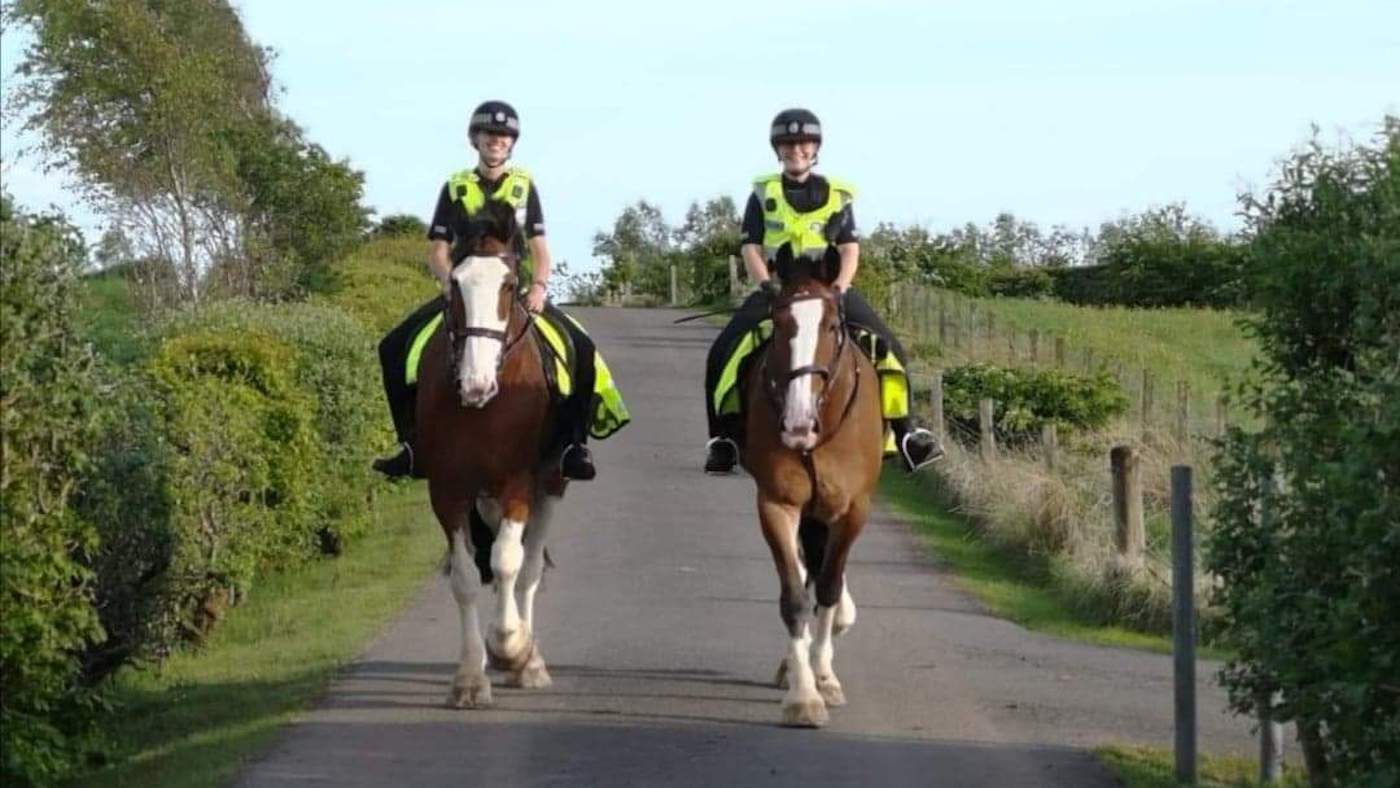Police horse dies on duty: tributes paid to ‘one of a kind’ mare ...
