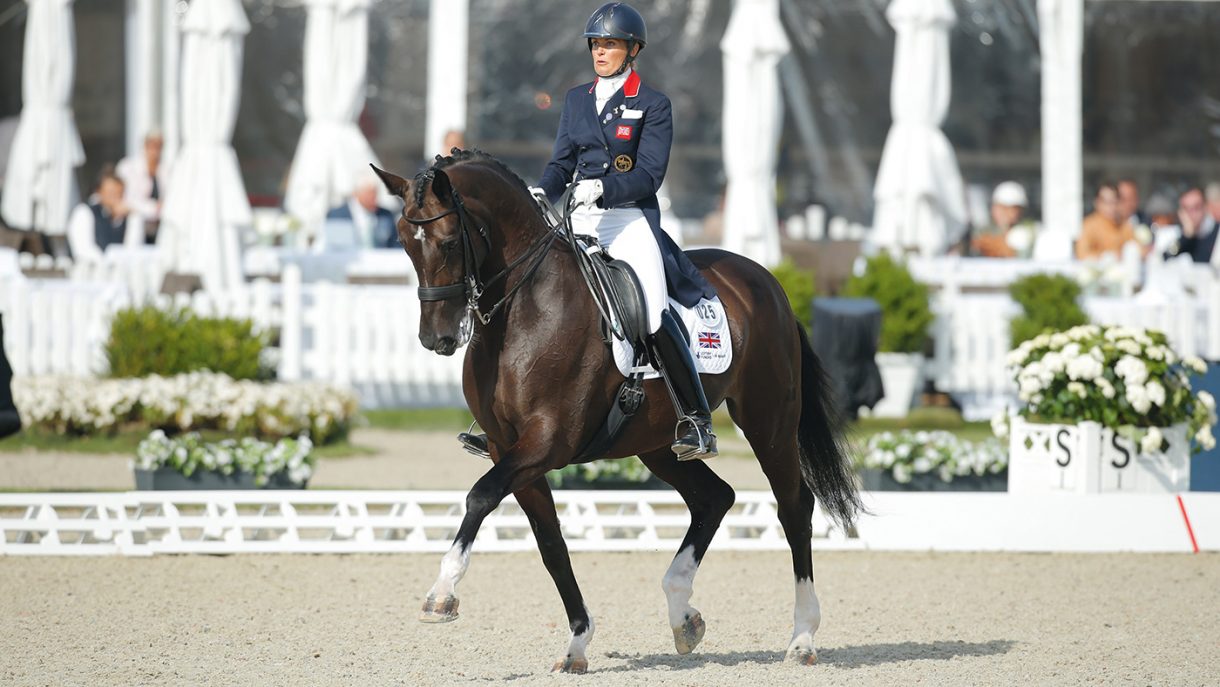 Legal case settled over mare who died in slurry lagoon *H&H Plus ...