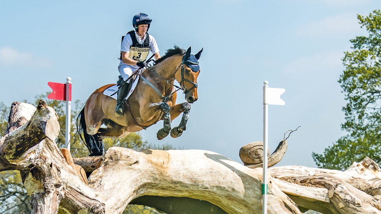 Stallion Diamant De Semilly dies aged 31 - Horse & Hound