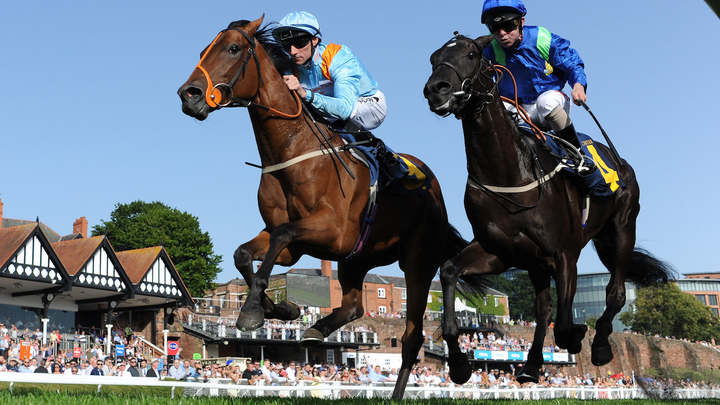 Racecourse reveals plans to Covid test 5,000 a day to help fans return ...