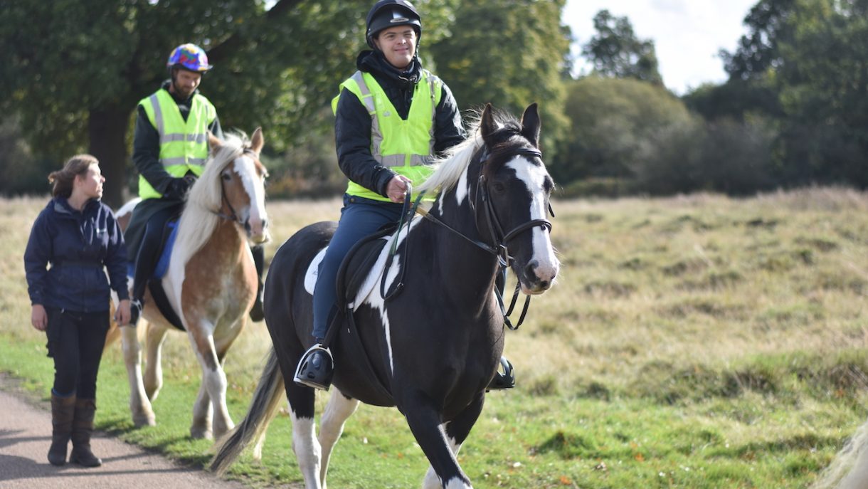 Park Lane Stables to lose home despite £1m fundraiser after landlord ...