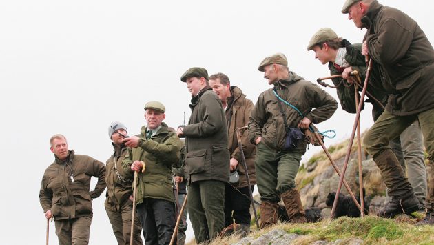 No horses, just wonderful hounds: why everyone should experience Fell ...