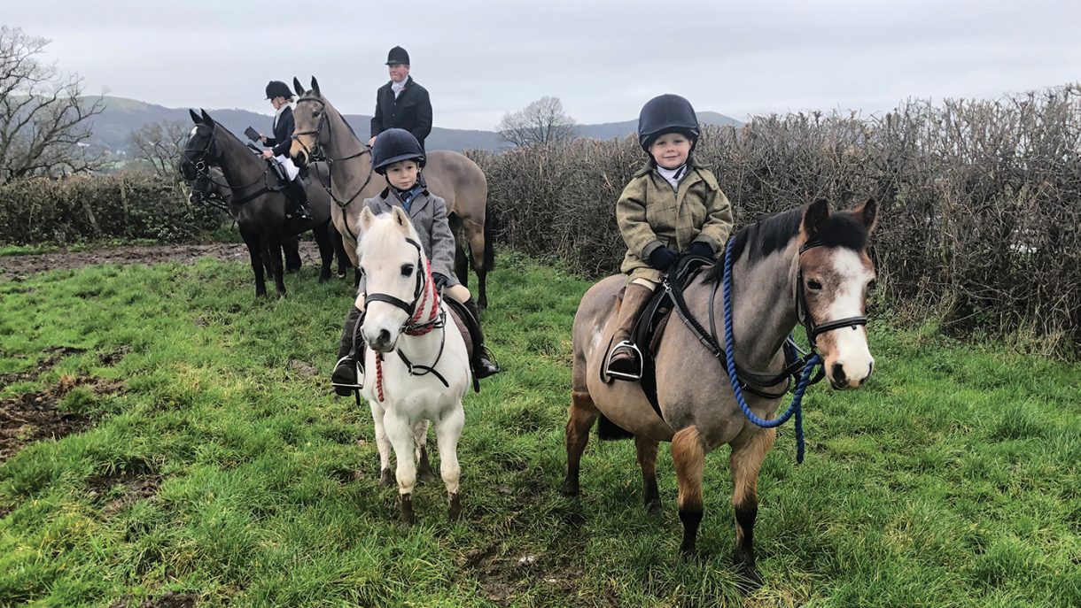 No horses, just wonderful hounds: why everyone should experience Fell ...