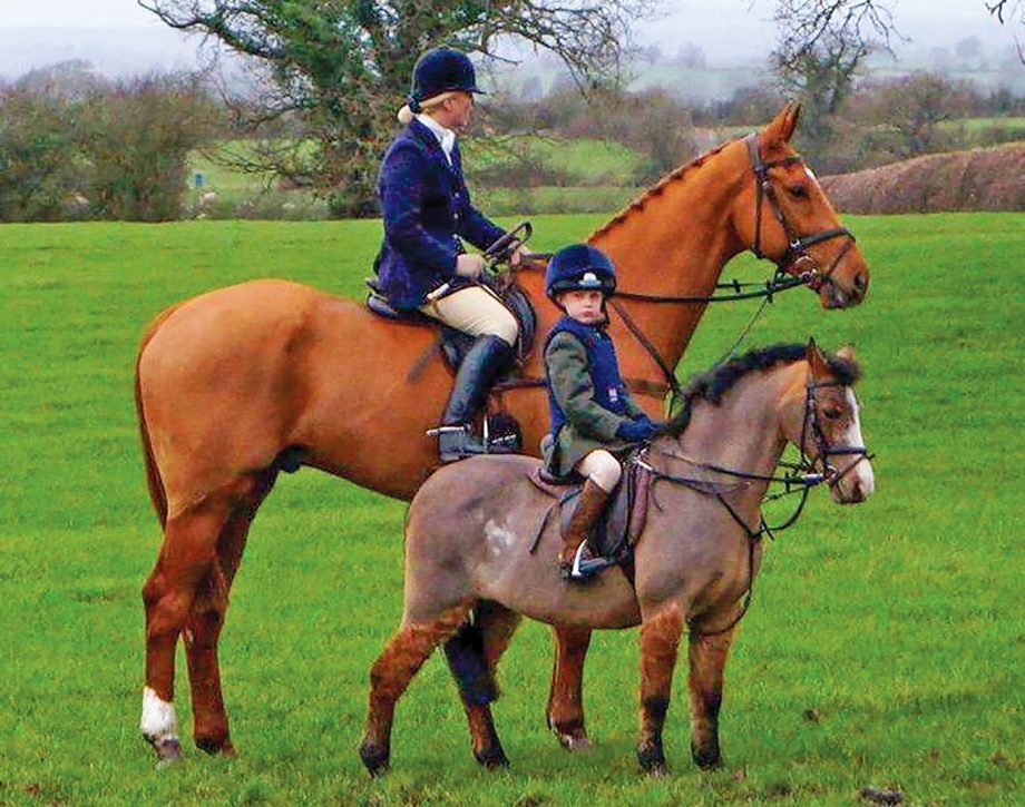 Super-safe ‘super-ponies’ — hunting’s gold-dust conveyances *H&H Plus ...