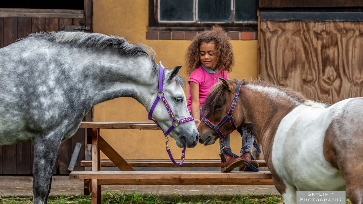 Young equestrian entrepreneur’s dream to inspire as diversity work ...