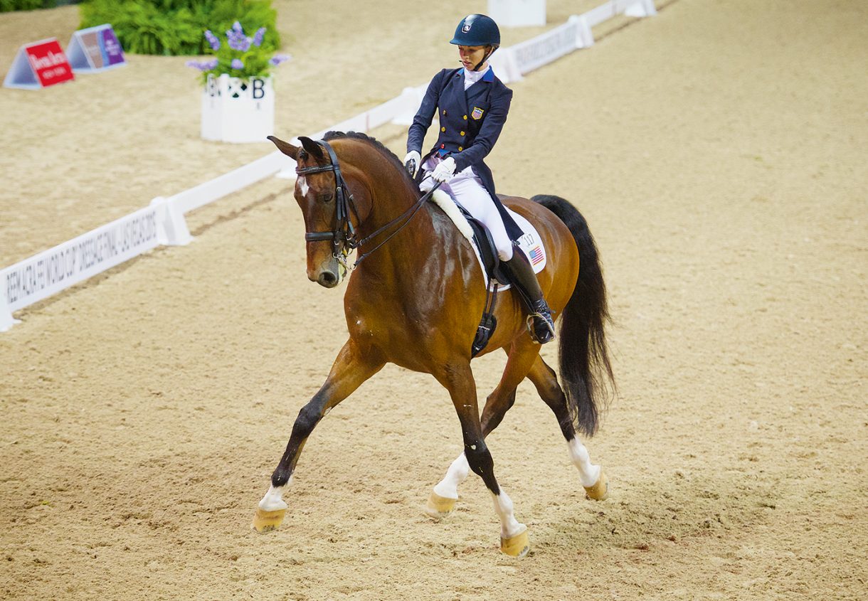 Verdades: superstar dressage horse with driving breeding - Horse & Hound