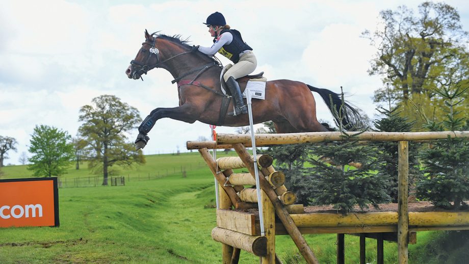 Sport horse stallions – does breeding or sport come first? *H&H Plus ...