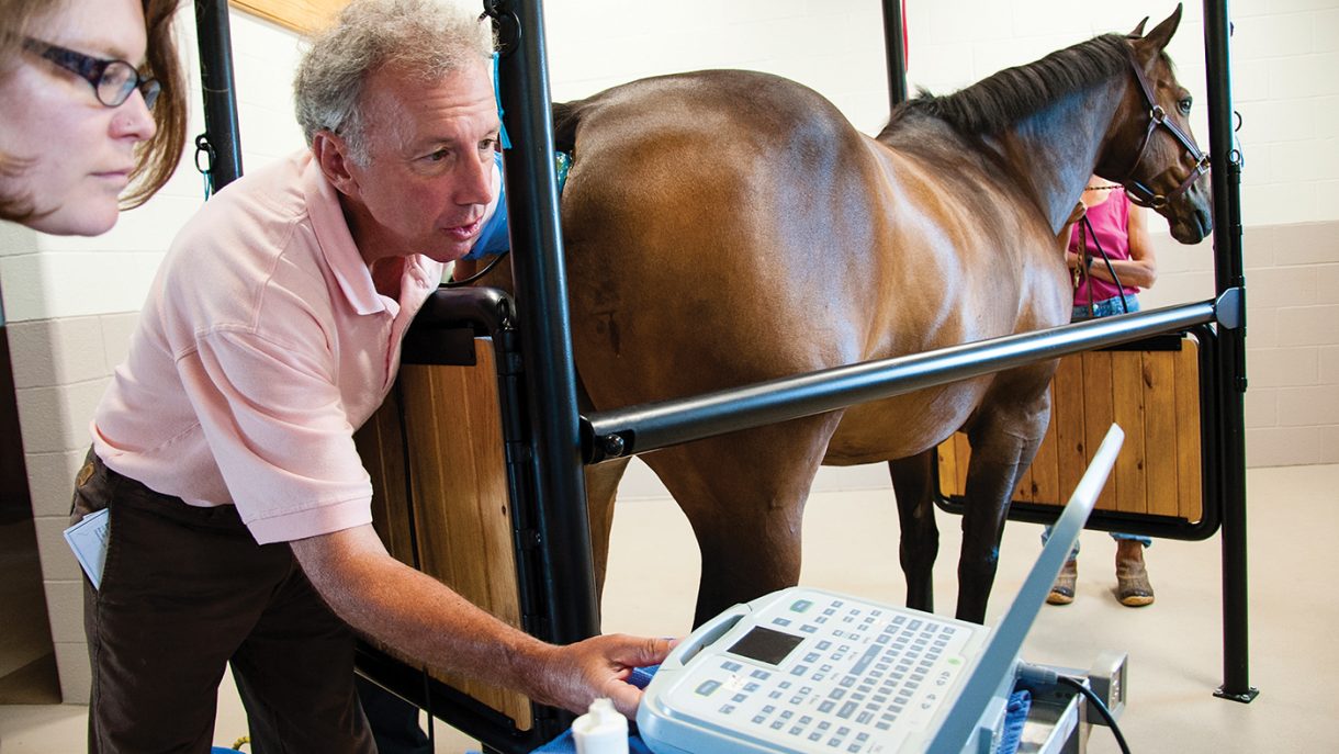 Modern breeding methods: what are they and which one is right for your ...