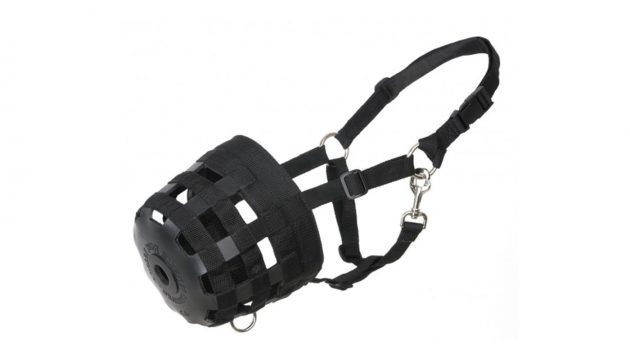 Best grazing muzzles – and everything you need to know | Horse & Hound
