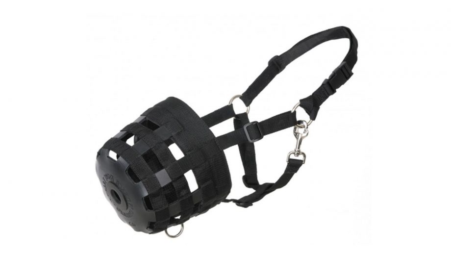 Best grazing muzzles – and everything you need to know | Horse & Hound