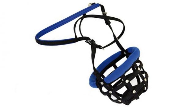 Best grazing muzzles – and everything you need to know | Horse & Hound