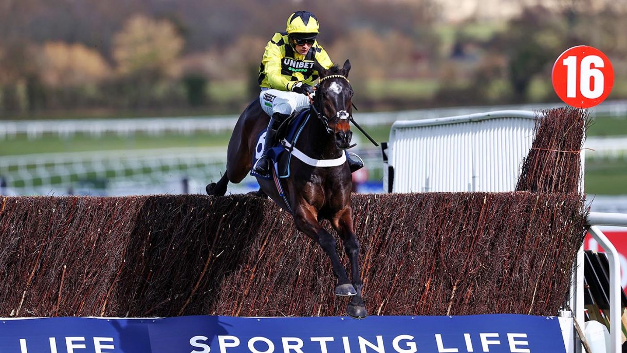 Four-month ban and $4,000 fine for rider who repeatedly hit horse with ...