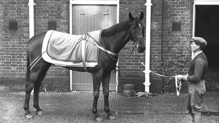 Golden Miller: the five-time Cheltenham Gold Cup winner - Horse & Hound