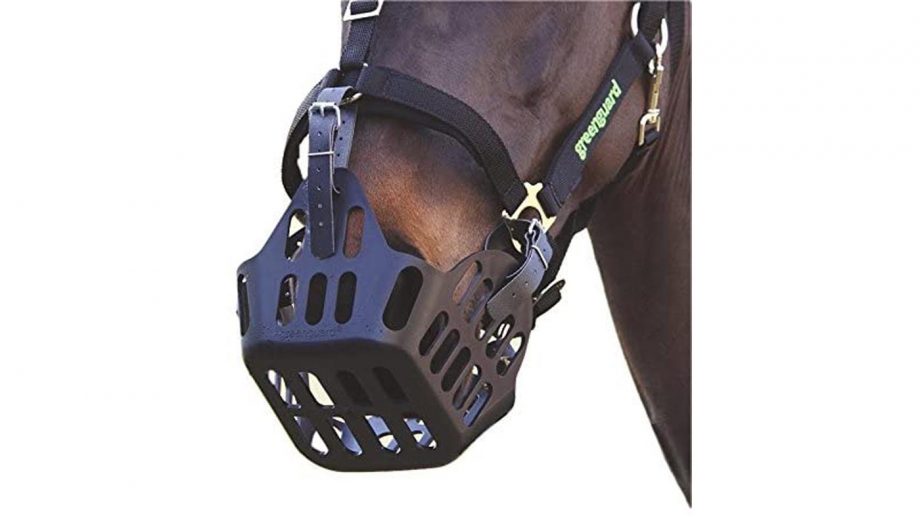 Best grazing muzzles – and everything you need to know | Horse & Hound