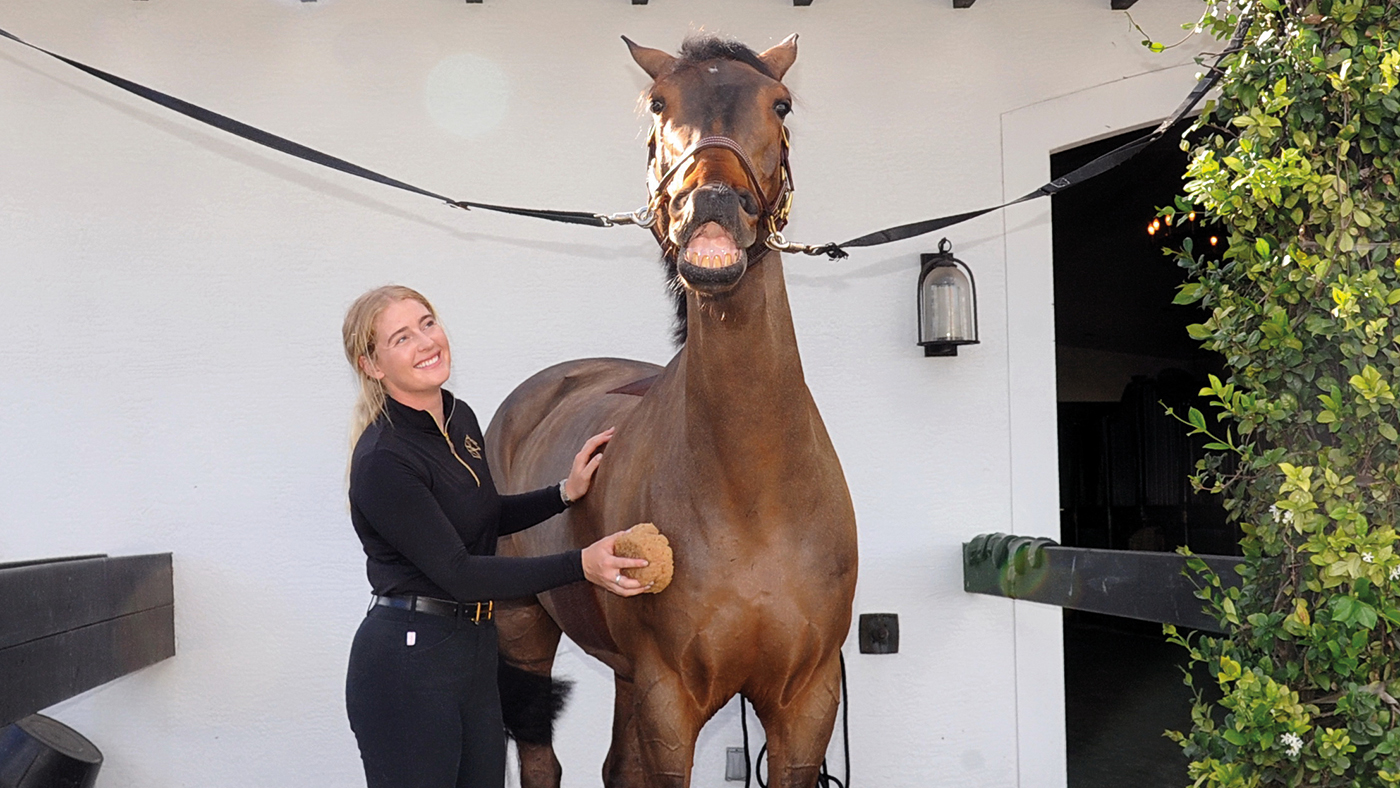 Emily Ward: the young showjumper aiming to be ‘Emily in Paris’ in 2024 ...