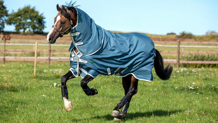 Best rain sheets for horses to protect from showers | Horse & Hound