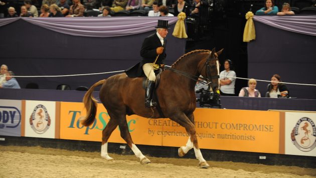 Stuart Hollings: ‘Showing has been stuck in a rut for a while’ - Horse ...