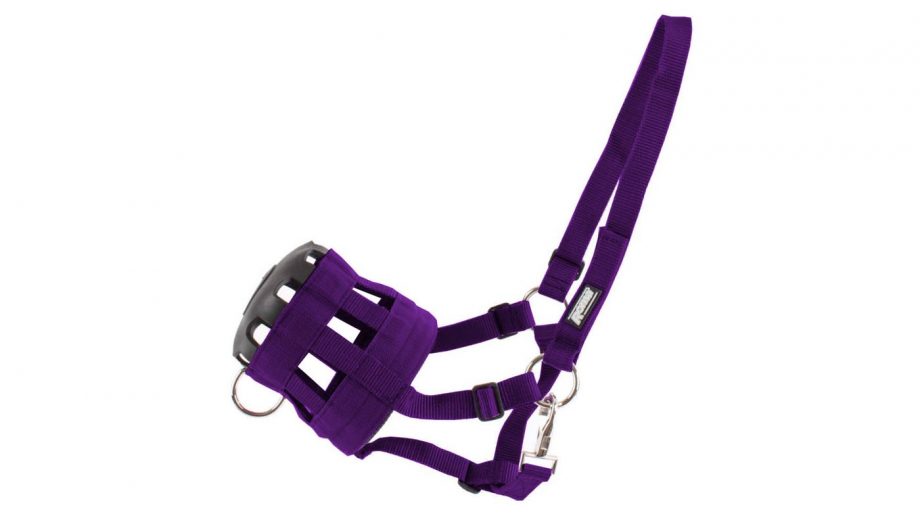 Best grazing muzzles – and everything you need to know | Horse & Hound