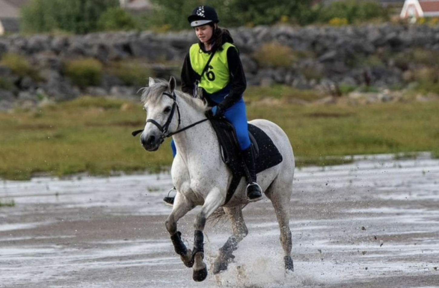 Connemara ponies for sale — brought to you by Horse & Hound