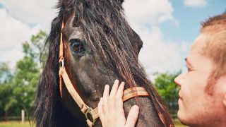 The healing power of horses to help more people than ever