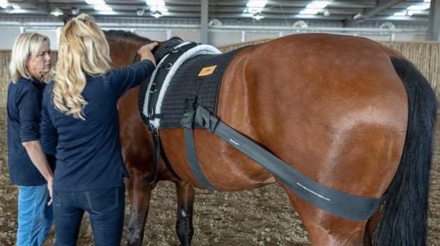 Equiband: what is it and how does it work? - Horse & Hound