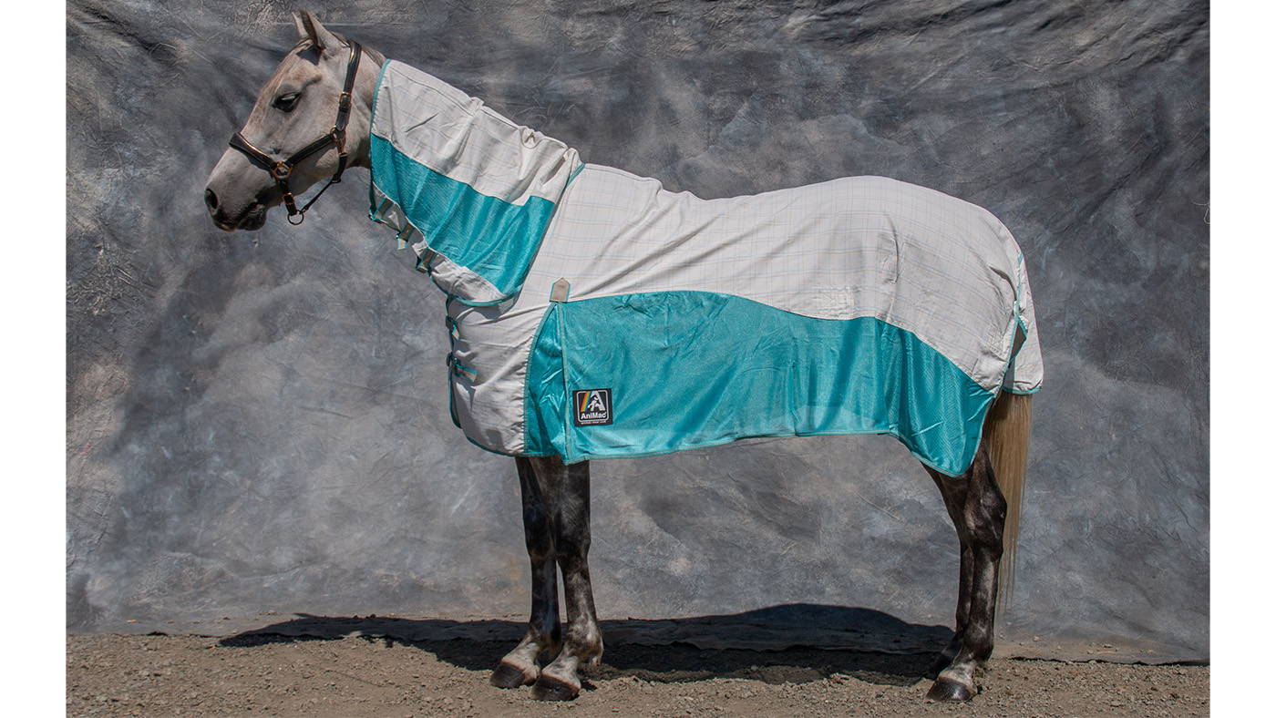 Cheap fly rugs: protect your horse for less than £50 | Horse & Hound