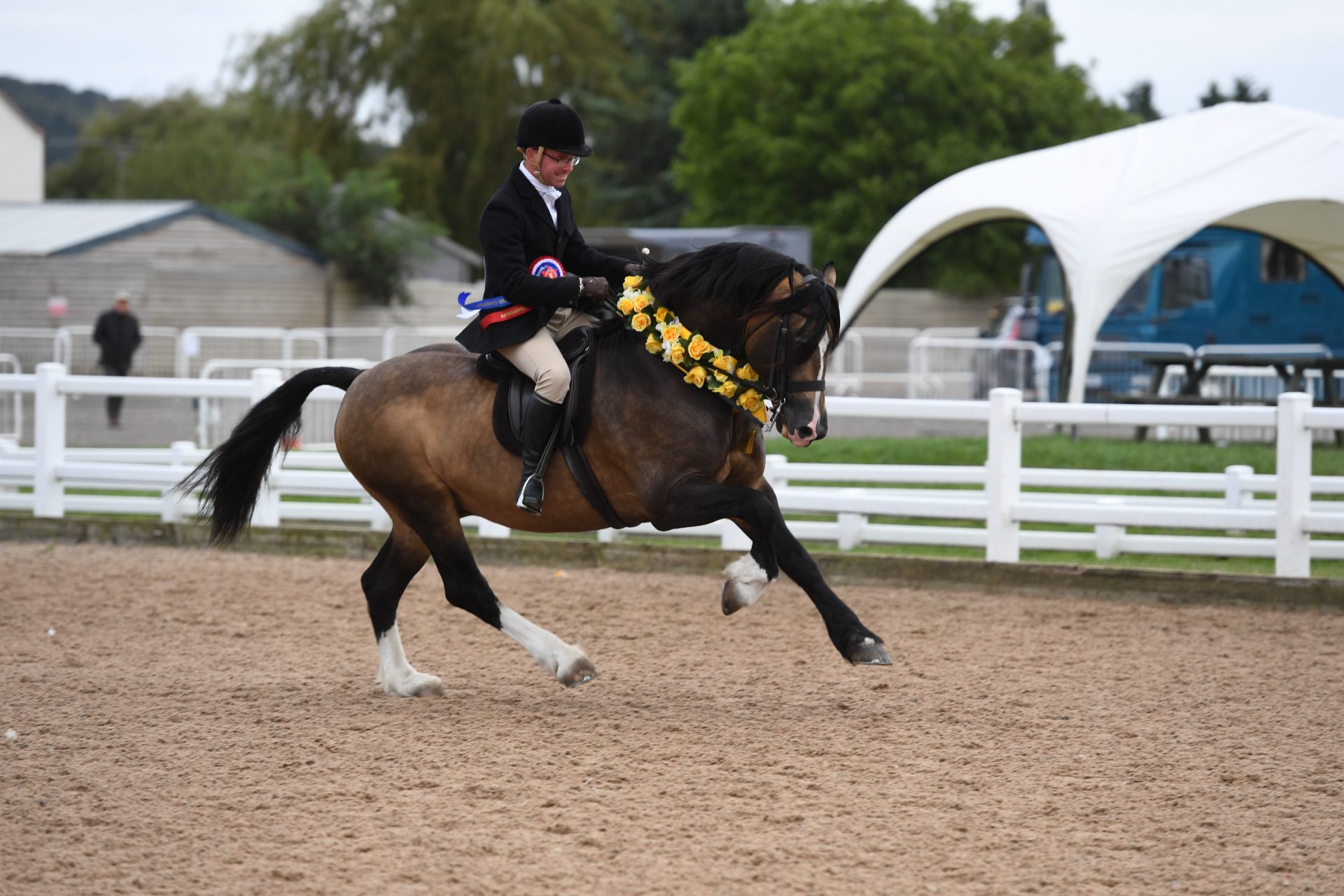 BSPS / British Show Pony Society latest news | Horse & Hound