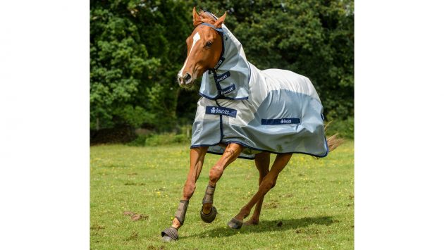 Best waterproof fly rugs for horses | Horse & Hound