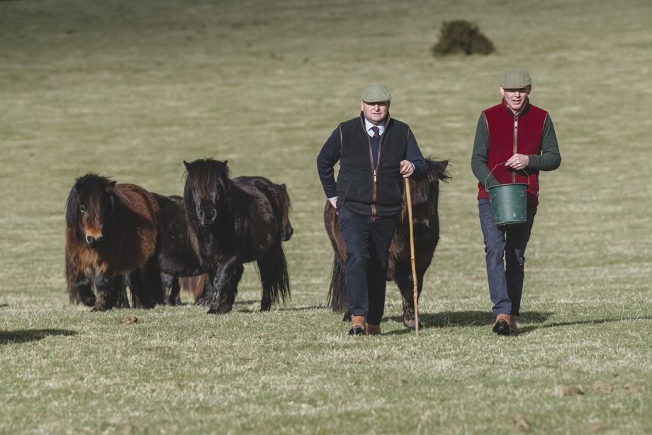 Breeders David Hodge and Julian Walters - Horse & Hound