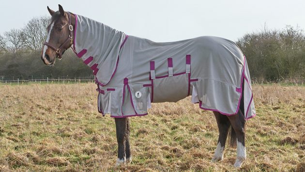 Best fly rugs to protect your horse | Horse & Hound