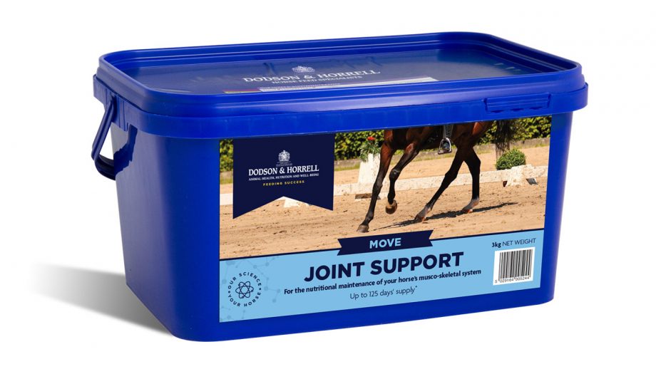 Best joint supplements for horses: what’s on the market?