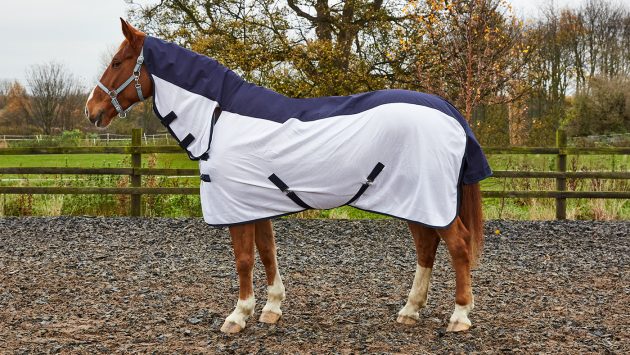 Best waterproof fly rugs for horses | Horse & Hound