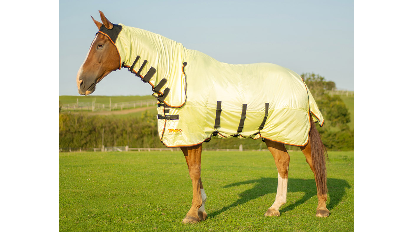 Best fly rugs to protect your horse | Horse & Hound