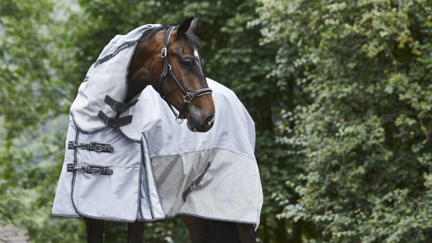 Best waterproof fly rugs for horses | Horse & Hound