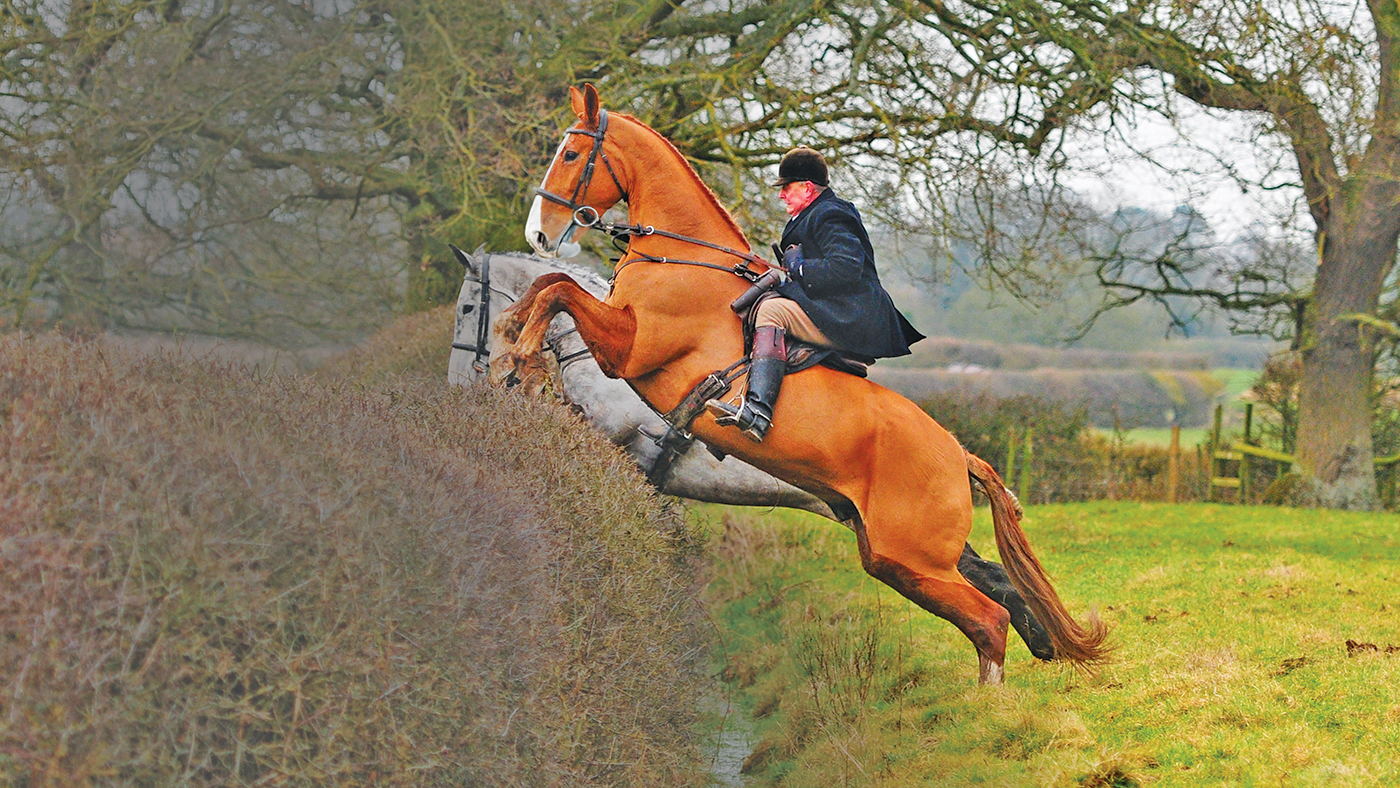 Meet the hunting farrier who is heading to his third Olympics *H&H Plus ...