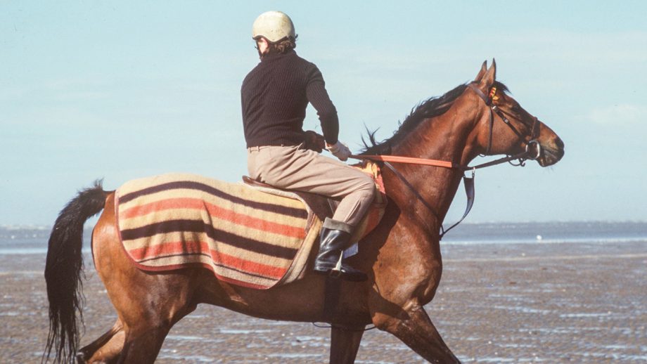 Red Rum: the three-time Grand National winner who ‘belonged’ at Aintree ...