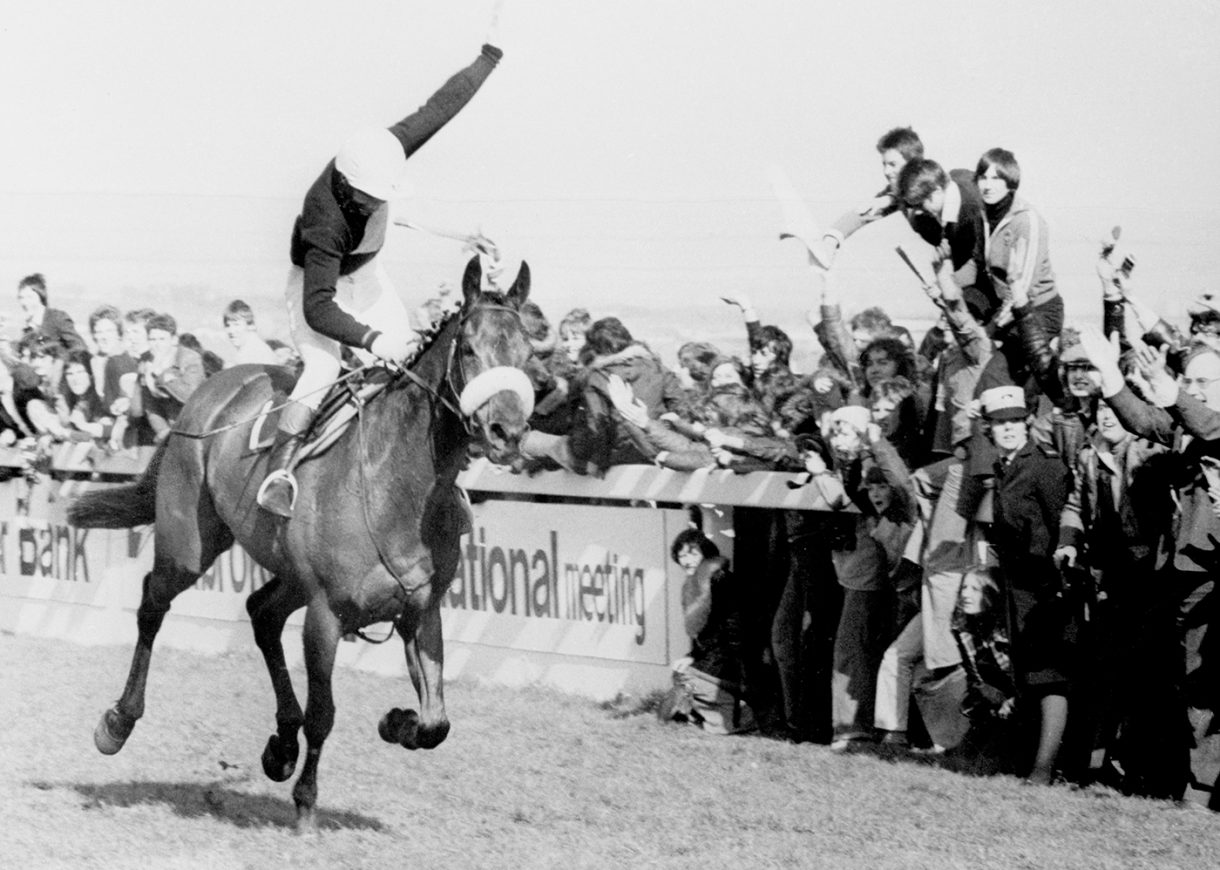 15 famous horses in history – and their incredible stories
