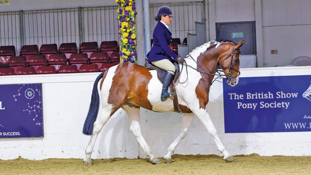 The Horse & Hound Podcast 148: Showing sisters Vikki Smith & Amy ...