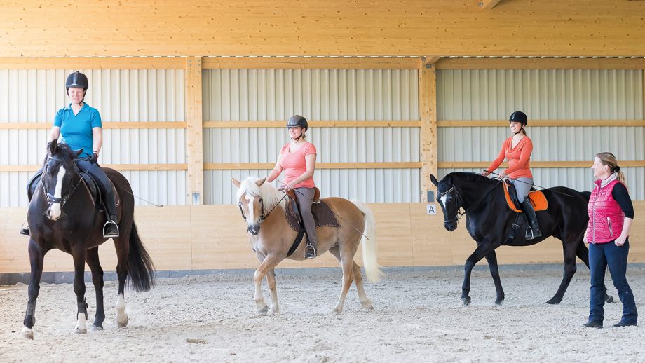 Taking care of the workers: how riding establishments manage their ...