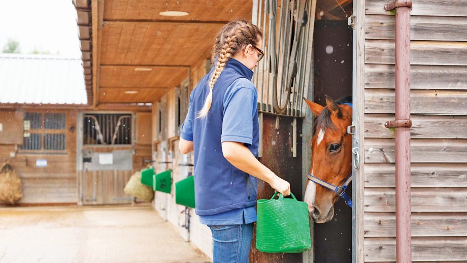 Taking care of the workers: how riding establishments manage their ...