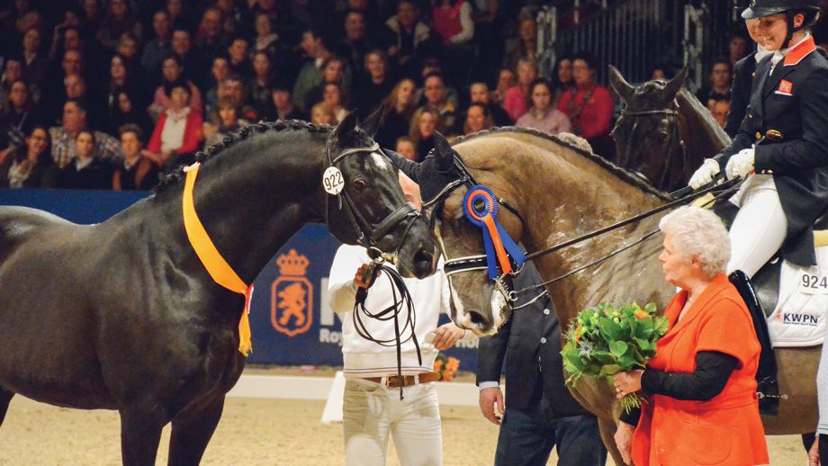 Valegro the legendary dressage horse - Horse & Hound