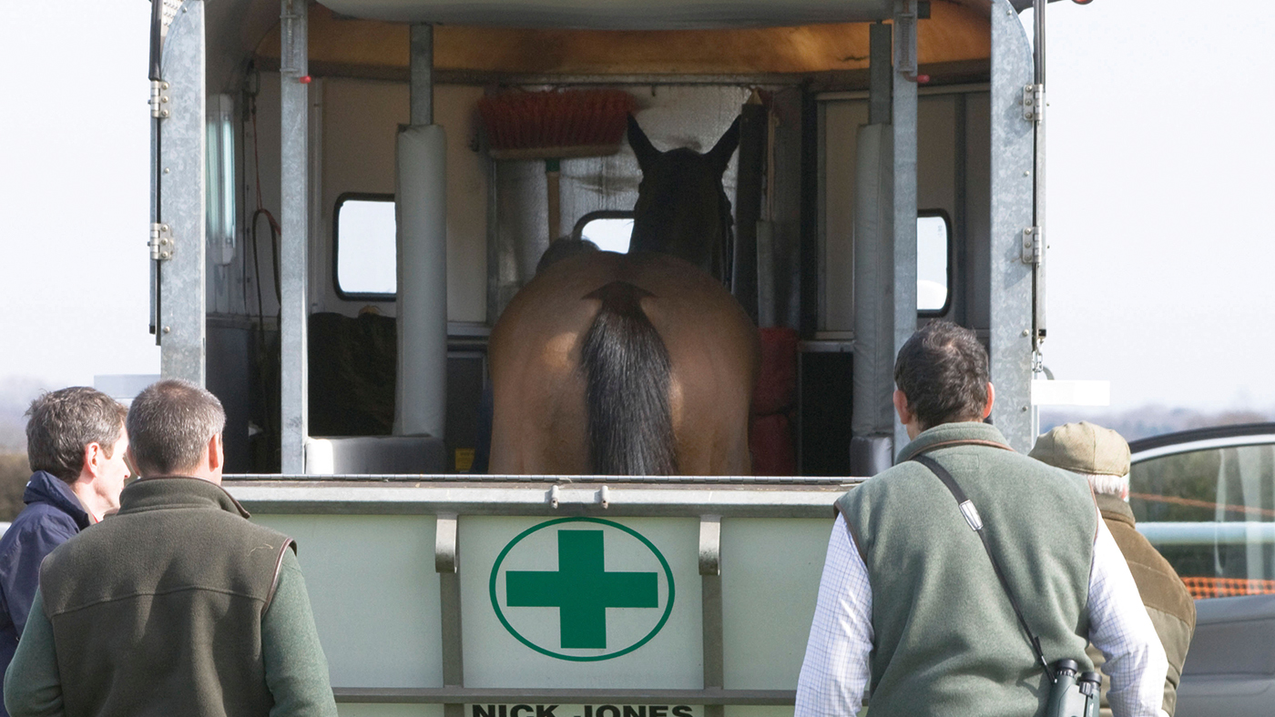 Hunting emergencies: equine and human injuries and dangers and how to ...
