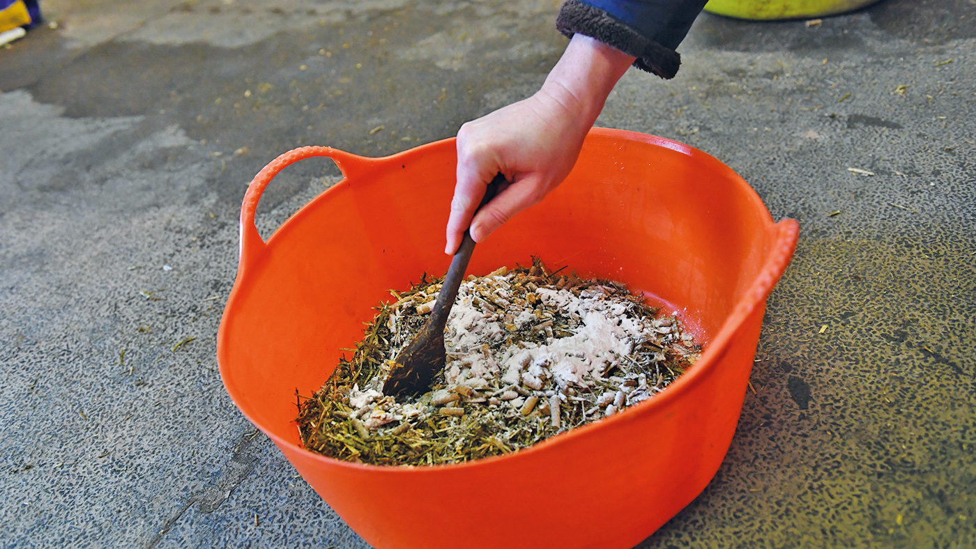 Concerns over proposed additions to FEI banned substances list - Horse ...