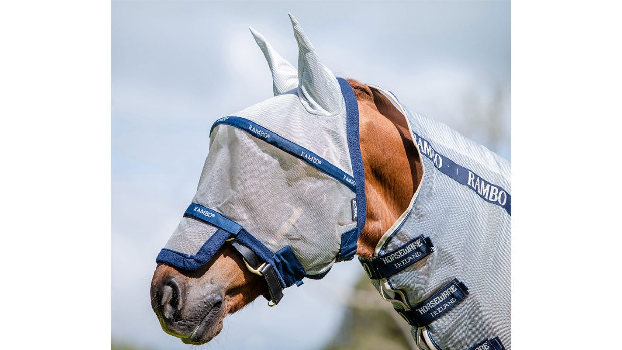Best fly masks for horses in a range of designs | Horse & Hound