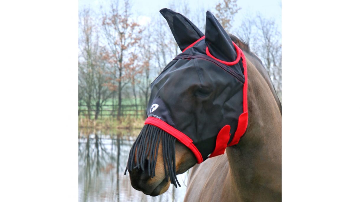 Best fly masks for horses in a range of designs | Horse & Hound