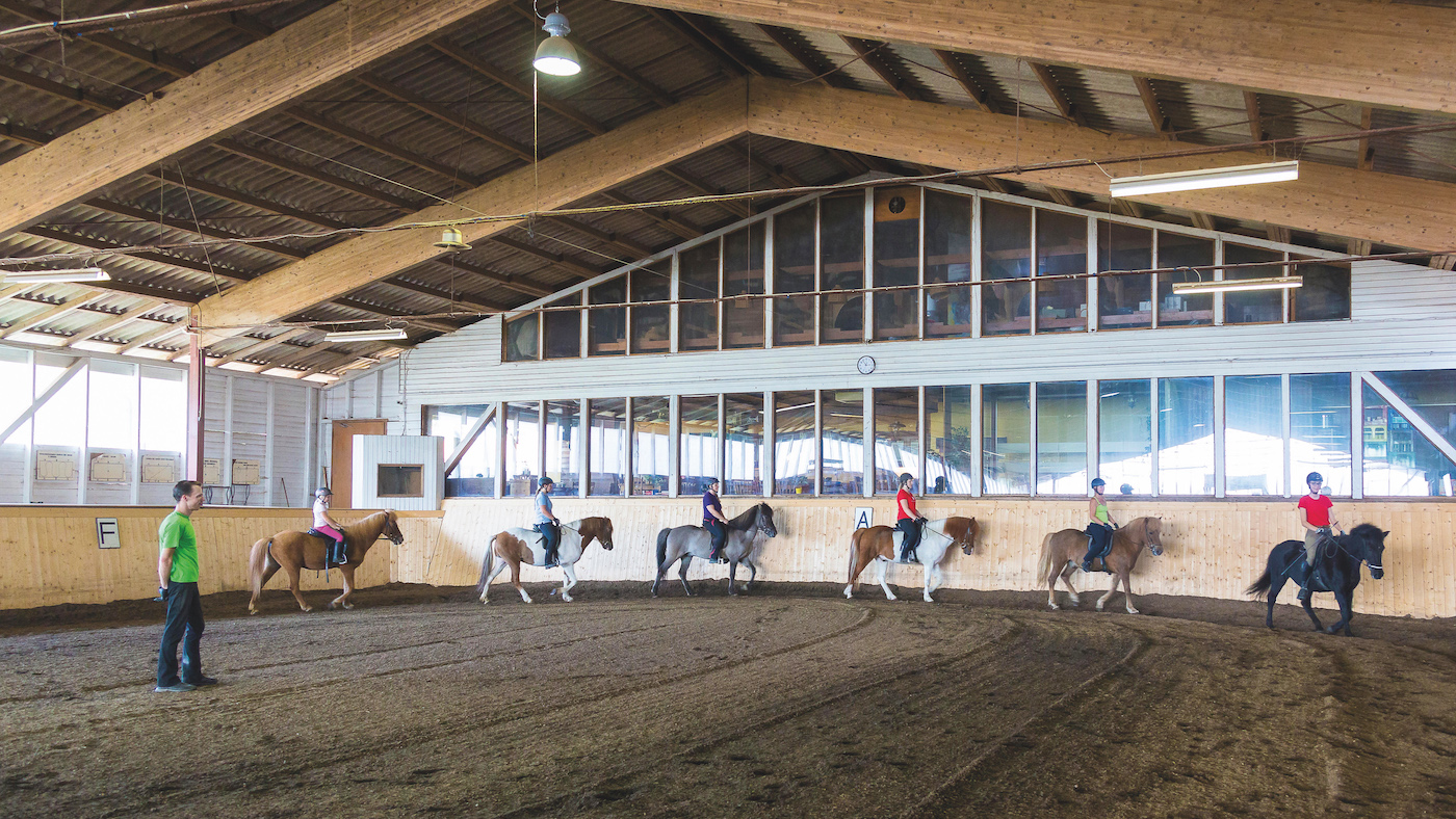 Campaign for indoor arena law change to protect riding schools - Horse ...