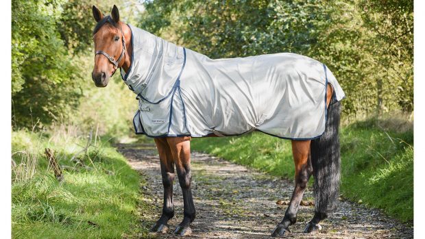 Horse Fly Sheet With Belly Flap Zebra Print Horse Fly Rug – All-in-One ...