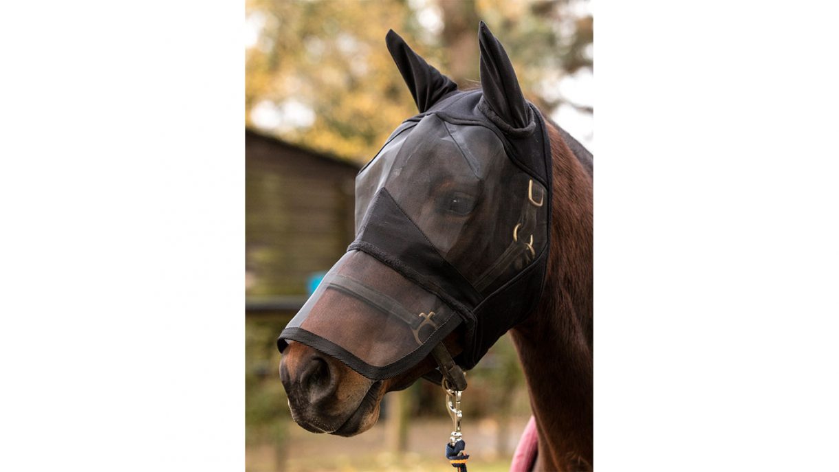 Best fly masks for horses in a range of designs | Horse & Hound